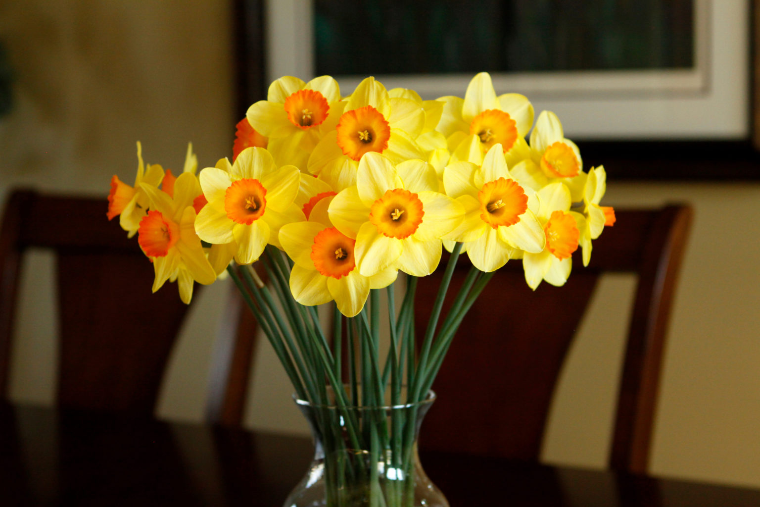 The Benefits of Having Florals & Plants at Corporate Events - Walter ...