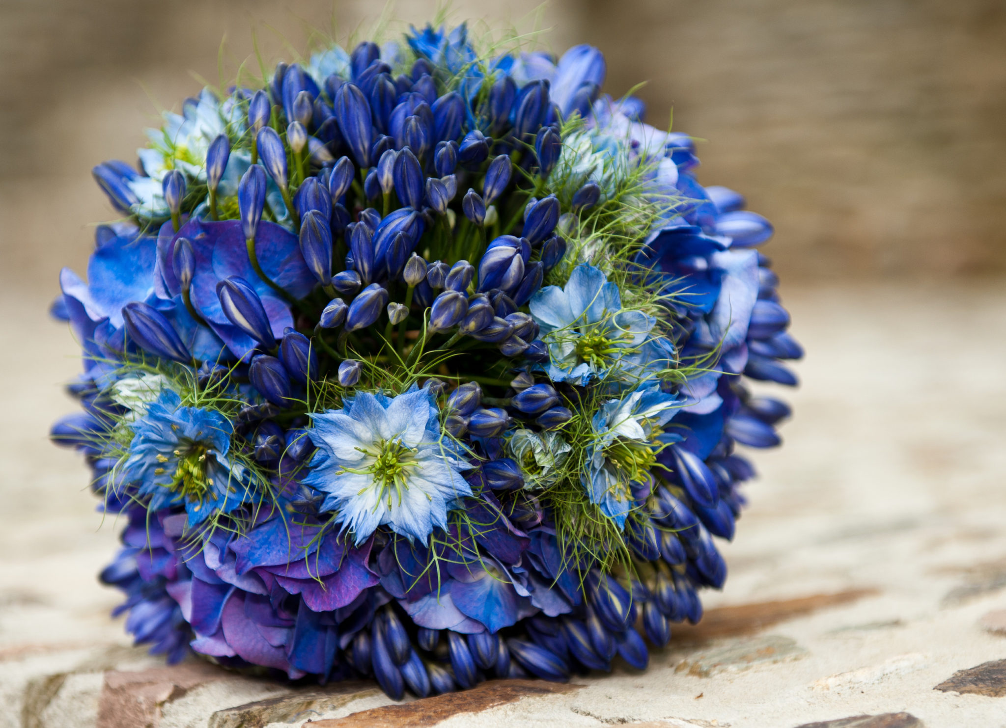 Floral Trends from NYFW We'll See in 2023 Weddings - Walter Knoll ...